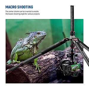 Neewer 79 Inches Carbon Fiber Camera Tripod Monopod with 2 Center Axis, 360 Degree Ball Head, 1/4 inch Quick Shoe Plate and Bag for DSLR Camera Video Camcorder Travel and Work，Load up to 26.5 pounds
