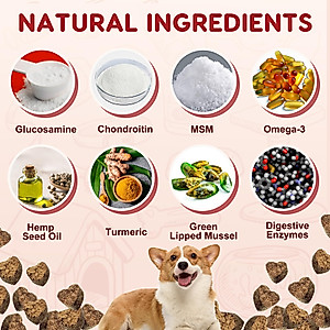 Dog Allergy Relief Chews, with Probiotics, Omega 3, Glucosamine for Dogs, Joint Supplement for Dogs with Chondroitin, MSM, Omega-3,