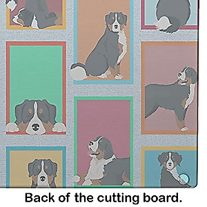 Caroline's Treasures MLM1087LCB Lots of Bernese Mountain Dog Glass Cutting Board Large Decorative Tempered Glass Kitchen Cutting and Serving Board Large Size Chopping Board