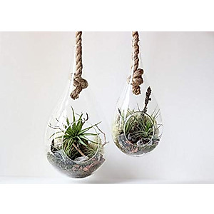 WGV Hanging Planter Terrarium, Width 6", Height 11", DIY Clear Glass Succulents Air Teardrop Floral Container (Including Rope), Candle Holder Vase for Outdoor Indoor Decor, 1 Piece