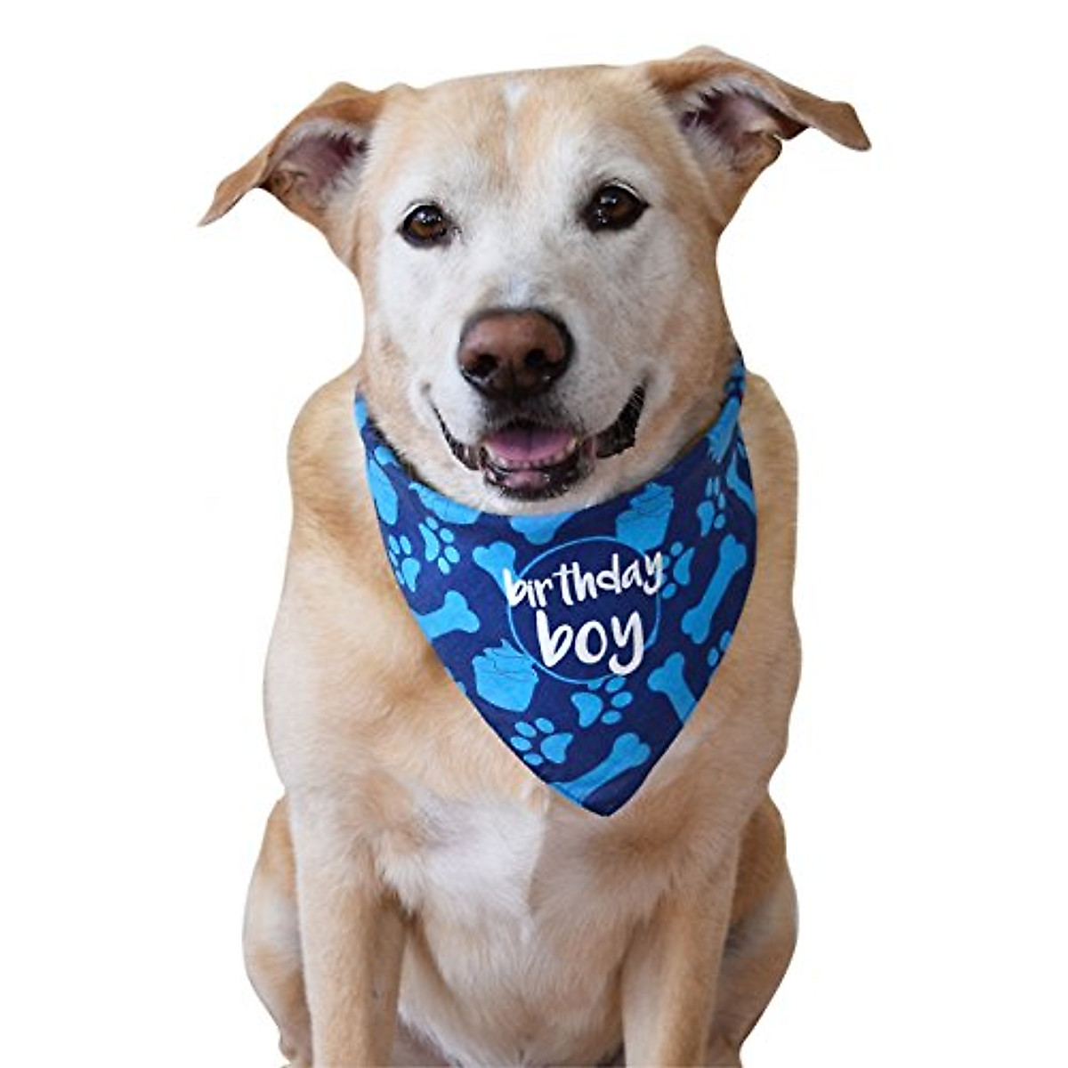 Dog Birthday Bandana - Boy
