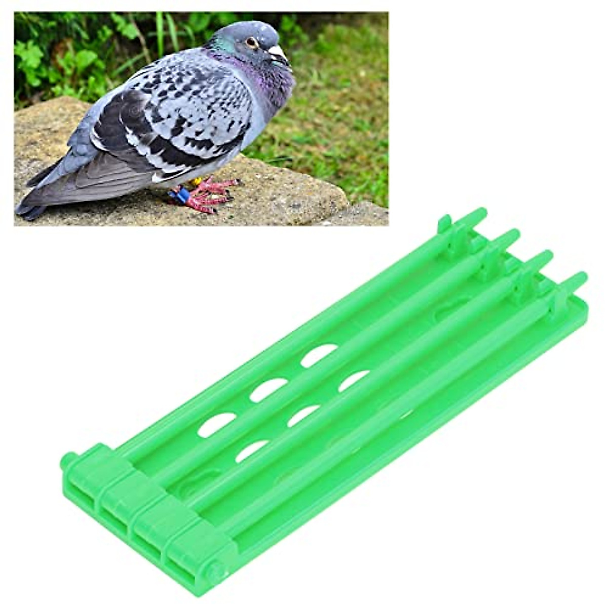 Pilipane Pigeons Foot Rings Frame, 4 Column Wear Resistant Foot Independent Design,Pigeons Bands Rack Frame Rotatable Foot Ring Pigeons Supplies,for s Chicken Duck Eagle Foot(Green), Pigeons Foot Ri