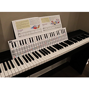 QMG Piano and Keyboard Note Chart, Use Behind the Keys, Ideal Visual Tool for Beginners Learning Piano or Keyboard, Easy to Set Up, for any Medium to Full Size Piano or Keyboard, Cover Four Octaves