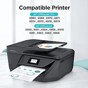 902 XL 5-Pack Ink Cartridges Compatible with HP 902XL 902 High Yield, Compatible with OfficeJet Pro 6978 6968 6958 6962 6970 6954 6960 6979 6950 Printer(2 Black, 1 Cyan,1 Magenta,1 Yellow)