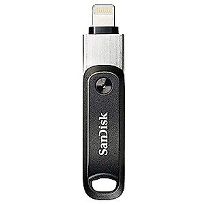 SanDisk 256GB iXpand Flash Drive Go for iPhone, iPad, Computer, Laptop - USB 3.0 Dual Drive with Reversible Lightning/TypeA Connectors SDIX60N-256G-GN6NE Bundle with 1 Everything But Stromboli Lanyard