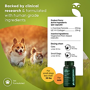 Rooted Owl Natural Supplements Joint & Muscle Health Capsules - Hip and Joint Supplements for Cats and Small Dogs with UC-II Type II Collagen and L-Carnitine - 30/ct