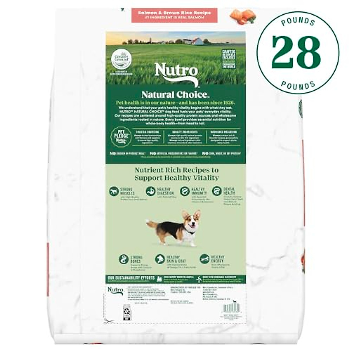 Nutro Natural Choice Small Bites Adult Dry Dog Food, Salmon & Brown Rice Recipe, 28 lb. Bag
