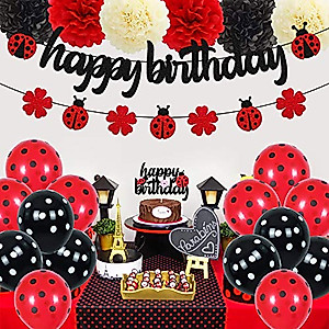 Ohiviaaa Ladybug Birthday Decorations Ladybird Happy Birthday Banner Ladybeetle Cake Topper Black Red Latex Balloon Pom Pom Flowers for Ladybug Theme Bday Party Supplies
