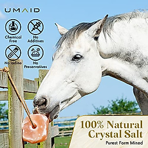 UMAID Himalayan Salt Lick 6 lbs On Rope for Horse, Deer, Goat, and Livestock Animals - Himalayan Salt Block 2 Pack