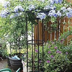 Garden Trellis for Climbing Plants Outdoor, Indoor Plant Support Trellis Metal for Potted Plants Climbing Flowers Vegetable, Rustproof Trellis Vine Rose for Vertical Climbing