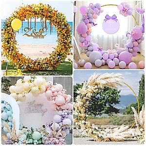 Asee'm 5ft Circle Backdrop Stand Round Balloon Arch Frame Gold Metal for Wedding Birthday Baby Shower Party Graduation Background Decoration