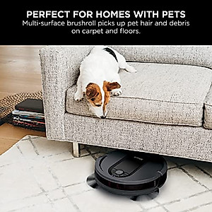 Shark RV912S EZ Robot Vacuum with Self-Empty Base, Bagless, Row-by-Row Cleaning, Perfect for Pet Hair, Compatible with Alexa, Wi-Fi, Dark Gray