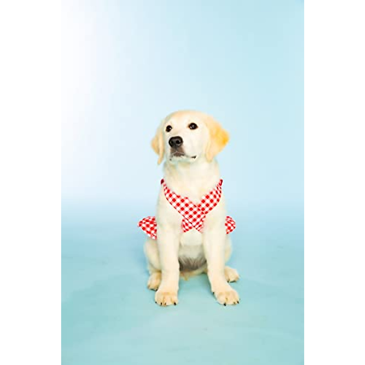 Doggy Parton Red Gingham Overalls Dress for Pets, Small (22120769)