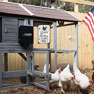 Tin Sign Chicken Coop Sign Farmhouse Farm Spoiled Chickens Lay Better Eggs Free Run Funny Home Decor Sign For Farm Garden Store Market Restaurant 8x12 Inches/20x30cm