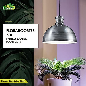 Bio Green 500-USZ Florabooster LUM 500 Grow Indoor 60w Lightbulb Lamp with 3m Connection Cable – Energy Saving House Plants – High Light Intensity, Brushed zinc