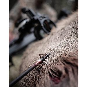 New Archery Products archery Thunderhead Nitro 100 Grain Big Game Hunting Fixed Blade 3 Pieces Set Crossbow Arrow Broadheads, black and copper, Gra US