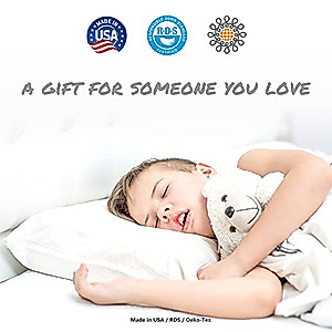 Dreamhood Luxury Goose Feather Down Pillow King Size Set of 2 - Made in USA Firm Gusseted Bed Pillows for Sleeping with Soft Premium 500 TC Cooling Cotton Shell