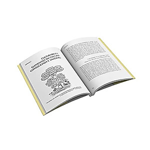 Culturability: cultura é o principal responsável pela performance das empresas Capa comum – Edição padrão, 15 janeiro 2023…