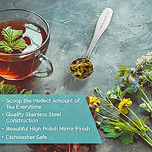Loose Leaf Tea Spoon Measure | One Cup of Perfect Tea | Stainless Steel Scoop