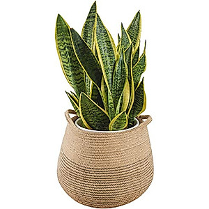 CHICVITA Large Jute Basket Woven Storage Basket with Handles