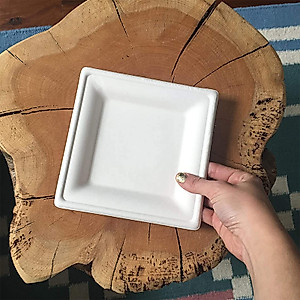 BangShou 50 Piecs 8 Inch Square Paper Plates, Heavy Duty Disposable Plate,100% Compostable Sugarcane Appetizer Plates, Large Sturdy Disposable Paper Plates for Dinner Party,BBQ,Birthday