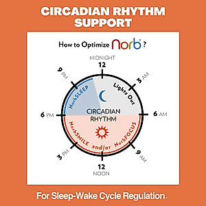 NorbSMILE Full-Spectrum “Sunlike” Premium A19 LED Light Bulb. Boosts Energy, Mood & Performance. Supports Circadian Rhythm. Near-Perfect Color Rendering. Patented Technology US Based (1-Pack)