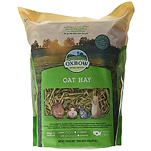 Oxbow Oat Hay 15 Ounce Bag For Small Pets
