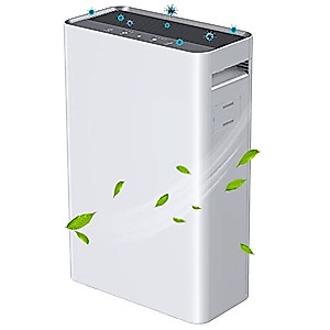 Air Purifiers for Home Large Room up to 1615 ft² with H13 True HEPA Filter, WiFi Voice Control, PM2.5 Monitor, Air Purify Filter Cleaner for Pets Smoke Dust (AF1)