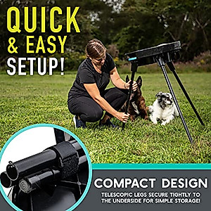 Franklin Pet Supply Co. Automatic Disc Launcher for Dogs - Ready Set Fetch Automatic Disc Tosser Dog Toy for Fetch - Portable Thrower Toy - Battery Powered