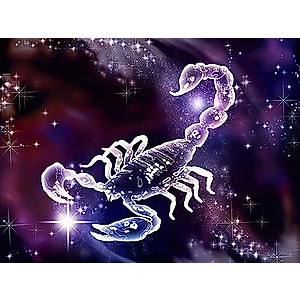 Starry Sky Scorpio Starry Sky Cross Stitch Kits-Scorpio Counted Cross Stitch Pack Stamped Cross-Stitch Needlepoint Counted Kits Beginners,Embroidery Kit Arts and Crafts for Home Decor/8x12 inch
