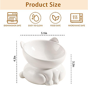 Elevated Cat Bowls, 15° Tilted Raised Cat Food Bowl Anti-Vomiting,Whisker Friendly, Cat Dishes for Protecting Spine (White)