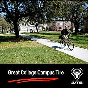 WTB Slick 29 x 2.2 Comp Tire, Black