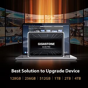 Gigastone SATA SSD 256GB 2.5 inch SSD 510MB/s Upgrade Laptop PC Memory and Storage PS4 HDD Replacement 2.5" Internal Solid State Hard Drives SATA III SLC Cache 3D NAND Game Pro Performance