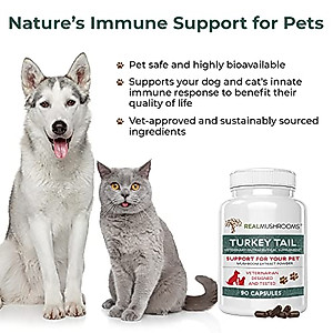 Turkey Tail Pet Support - Dog Multivitamins and Supplements for Immune Support, Gut Health & Wellness - Grain-Free, Gluten-Free, Vet-Approved Dog Supplement (90ct)