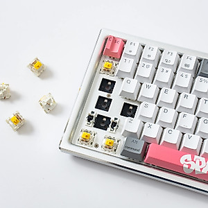 YUNZII AK84 84-Key Hot-Swappable Gaming Mechanical Keyboard with Double Shot PBT Keycaps, RGB, Aluminum Frame for Mac Windows (Gateron Black Switch, Silver)