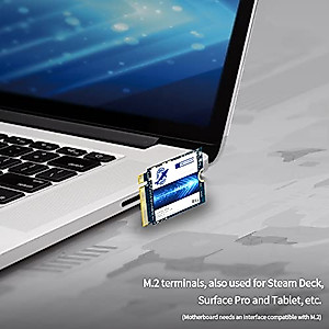 Dogfish SSD M.2 2230 NVMe PCIe 4.0 256GB 3D TLC NAND Gaming Internal Solid State Drive for Steam Deck PS5 Surface Pro Laptop Desktop (M.2 2230 NVMe 4.0, 256GB)