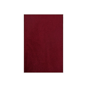 Bright House Solid Color Area Rugs Burgundy - 2' x 4' Rectangle, Indoor, Stain & Fade Resistant, Perfect for Living Room, Bedroom, Dining Room, Entryway, Doorway, Pet & Kids Friendly Rug, Wedding
