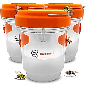 Trapable 3 Pack Carpenter Bee, Yellow Jacket and Wasp Traps for Outdoors – Hanging Design with Solar LED Light Catch Flying Insects from Patio, YardGarden Within Hours Flies, Hornets and Wasp Killer