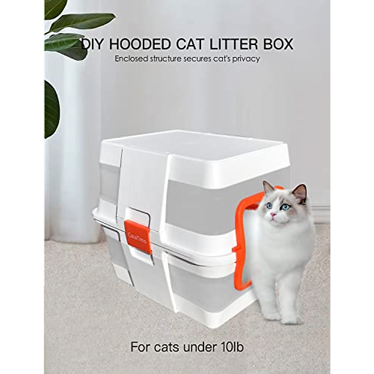 2 Pack Collapsible Kitten Litter Box, CasaTimo Foldable Open Kitty Litter Box for Medium-Sized Cats, Portable Multi-Use Litter Pan for Travel, Assembled to Covered Cat Toilet, Standard Size