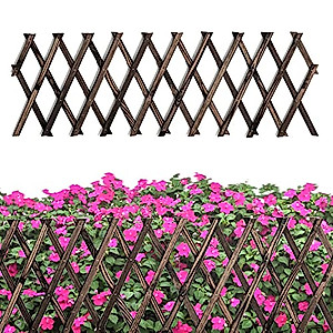 Expandable Garden Trellis, Wooden Lattice Fence Wall Panel Stretchable Decorative Fence Lattice Trellis Frame for Climbing Plants Vine Ivy Rose for Room Patio Garden Decorative Fence (1)
