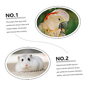 iplusmile 48 Pcs Loofah Chew Toys Hamster Chew Toys Hamster Toy Bunny Teeth Toys Rabbit Chew Toys Bunny Dental Loofah Chews for Small Animals Rat Chew Toys Rat Toys Supplies Guinea Pig