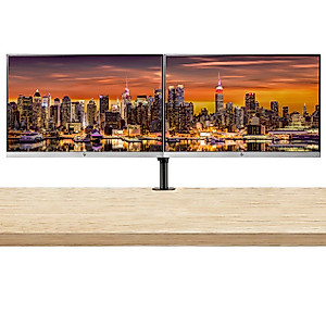 HP EliteDisplay E243 24 Inch IPS LED Backlit Monitor (1FH47A8#ABA) 2-Pack Bundle with Fully Adjustable Desk Mount Monitor Stand