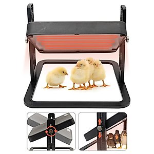 HHNIULI Chick Brooder Heater Chick Heating Plate 11 x 11 Inch Poultry Brooder Heater with Adjustable Height for Chicks and Ducklings Warms Up to 15 Chicks for Chicken Coop