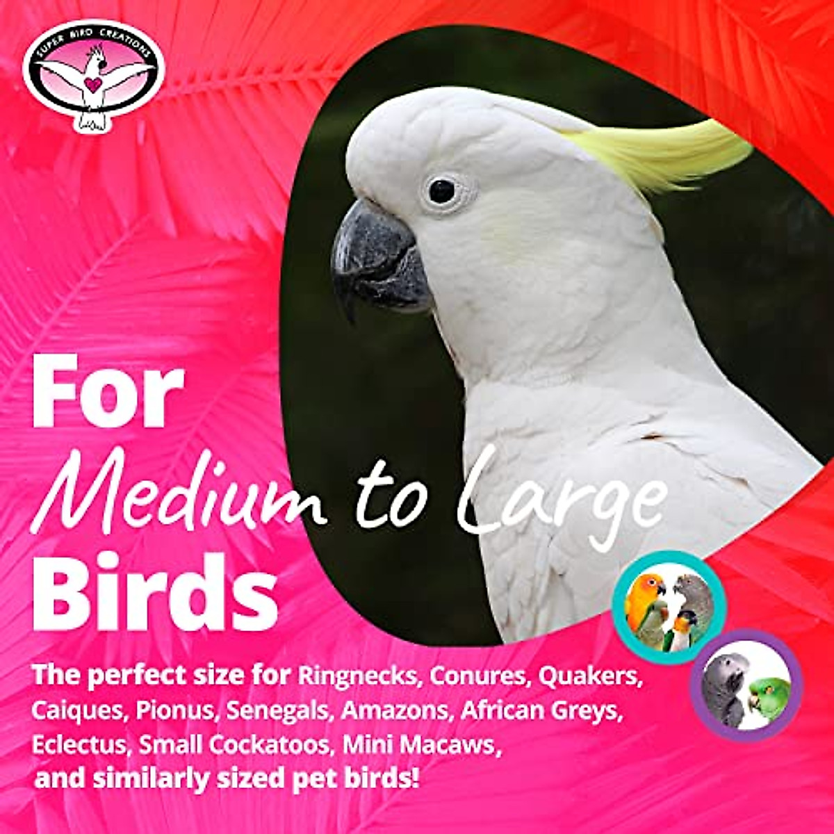 Super Bird Creations SB878 4 Way Fun Bird Toy, Medium/Large Bird Size, 11" x 4.5"