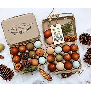 Vintage Blank Egg Cartons- Classic 3x4 Style Holds 12 Large Eggs, Sturdy Design Made from Recycled Cardboard (25)