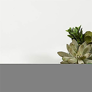 Tvilum Space 3 Drawer Chest, Oak Structure, White