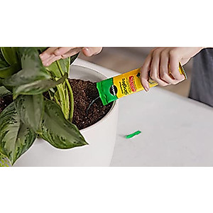 Miracle-Gro Pour & Feed Singles Ready-To-Use Liquid Plant Food - Pre-Measured Liquid Plant Fertilizer for Potted Plants, 2 oz. Singles