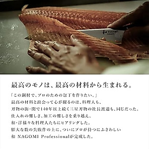 NAGOMI Professional 10.6 inch Slicer Knife - Made in Seki, Japan -Blade in Rare Stainless Steel & Black Pakkawood Handle