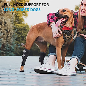 Bawektrl Dog Leg Braces for Back Legs,ACL Brace for Large Dogs Rear Legs, Joint Compression Warps Support for Hind Leg with Injury Sprain, Wound Care and Loss of Stability from Arthritis (1 Pair)