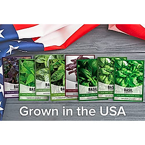 Basil Seeds for Planting Home Garden - 8 Variety Herb Pack Genovese, Large Leaf, Lemon, Thai, Red Rubin, Cinnamon, Sweet and Purple Opal Basil Herb Seeds for Indoors & Outdoors by Gardeners Basics